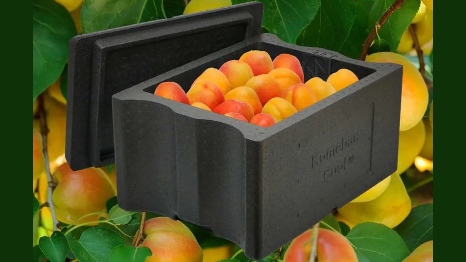 Embalaje retornable, una solución optimizada y más sostenible