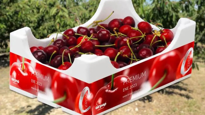 Soluciones de envasado sostenible para el transporte y logística de las ...