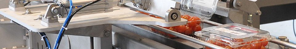 Manter Packaging Ibérica