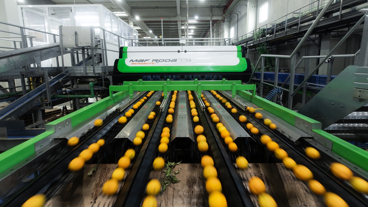 El Grupo MAF RODA presenta su gama de sistemas de calidad con IA en ...