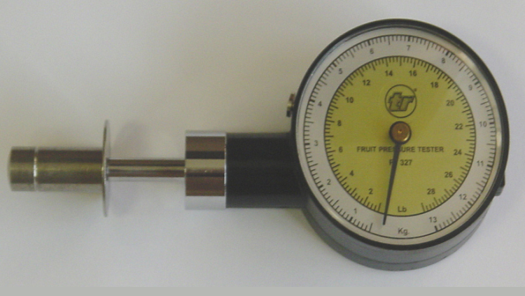 53201, penetrómetro para aguacate