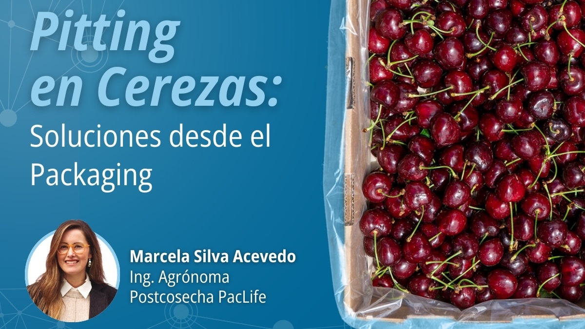 Soluciones de packaging para combatir el pitting y preservar la calidad ...