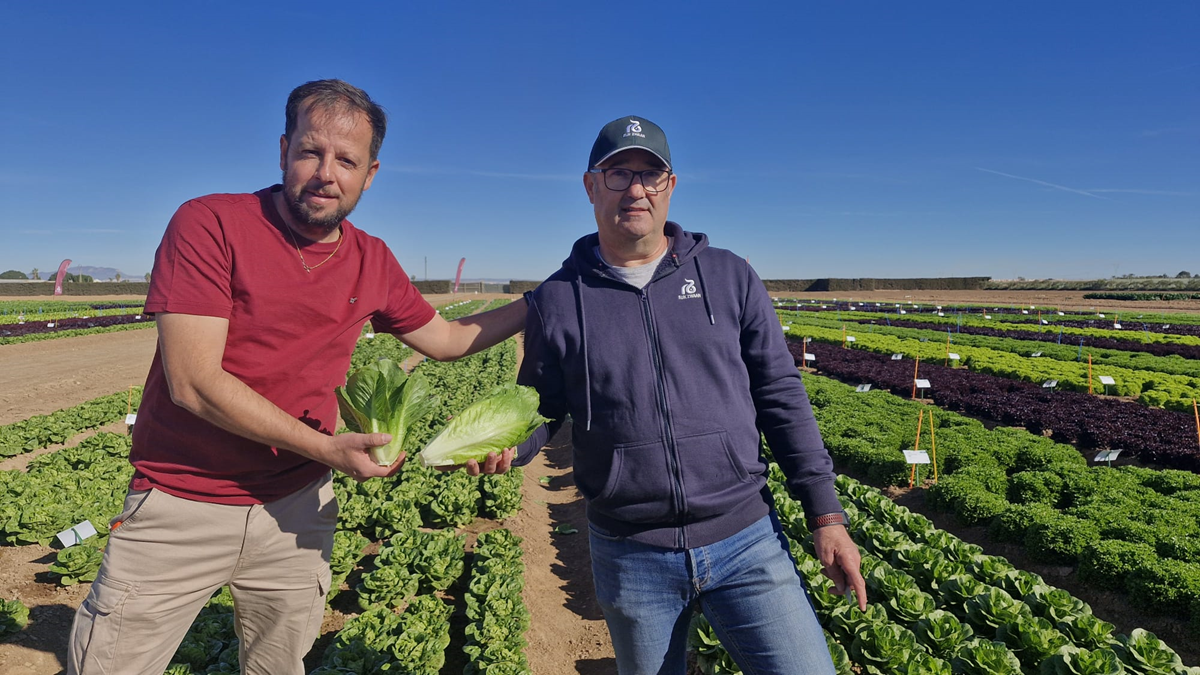 Innovaciones en los Winter Open Days de Rijk Zwaan