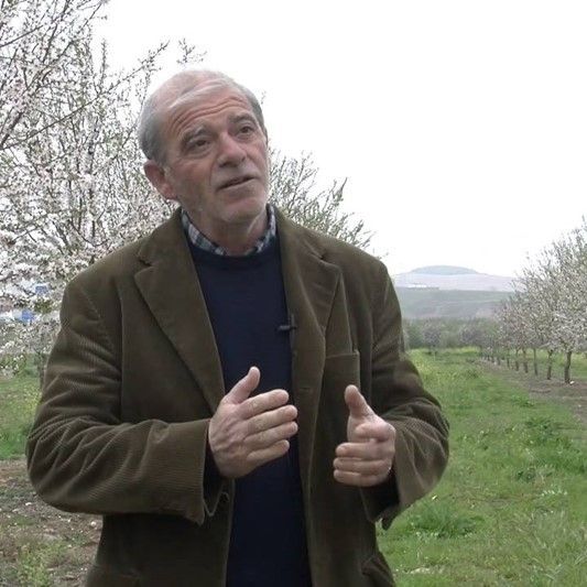 Arquero Quílez, Octavio