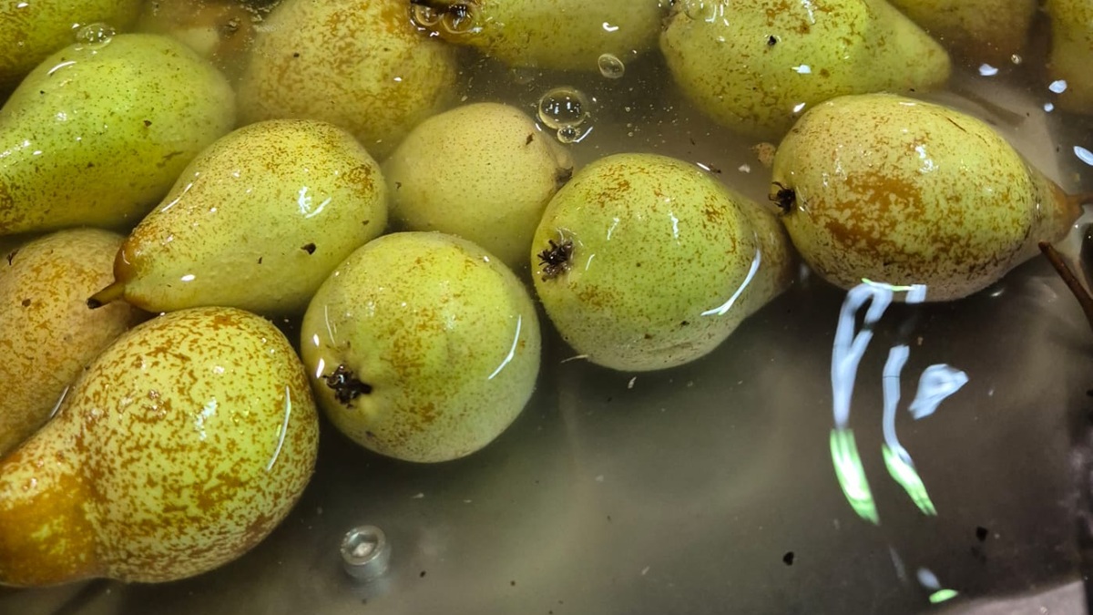 El Sistema Citrocide ® Fresh-Fruit de Citrosol, una desinfección eficaz ...