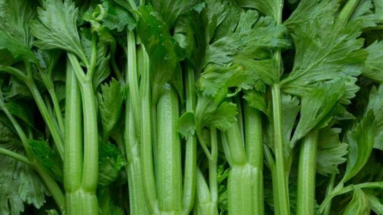 El tratamiento con ácido salicílico mejora la capacidad de ...