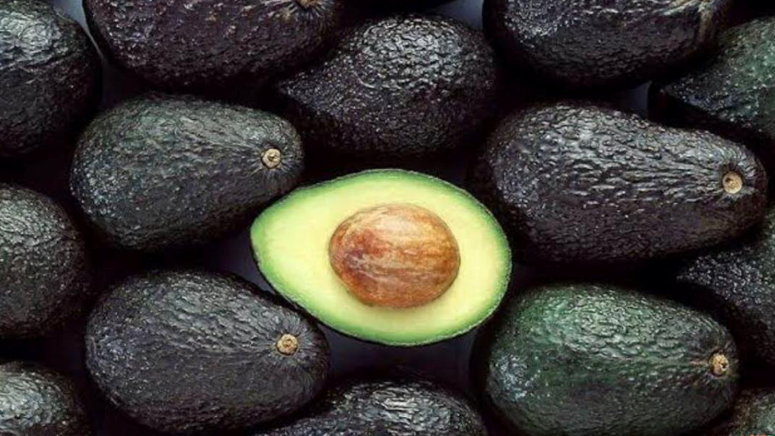 Mejor sincronización color y ablandamiento en aguacates de cosecha tardía