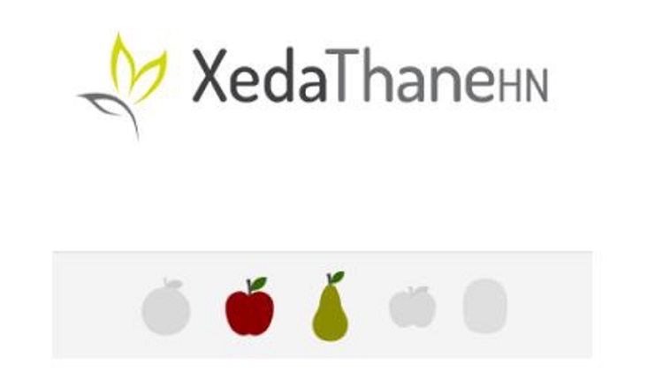 XedaThaneHN, para el tratamiento en cámara de almacenamiento