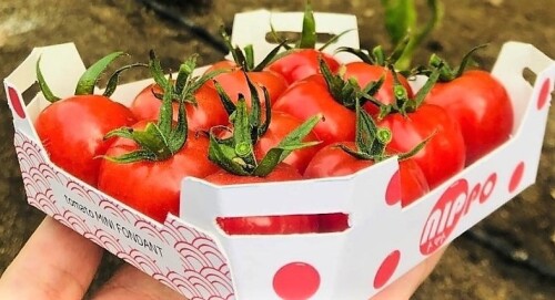 Semillas Fitó lanza el distintivo “Flavourite” para diferenciar sus ...