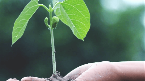 Conoce la gama de productos de bajo impacto ambiental de Xeda