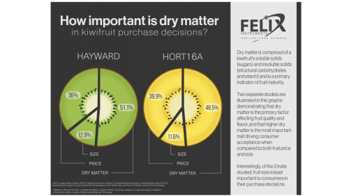 ¿Qué importancia tiene determinar el contenido en materia seca en el kiwi?