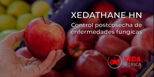 XEDATHANE HN, control poscosecha de las enfermedades fúngicas en ...
