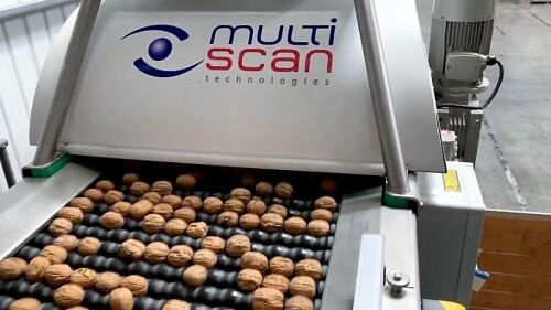 Multiscan Technologies lanza MULTISCAN S30W para la selección de nuez ...
