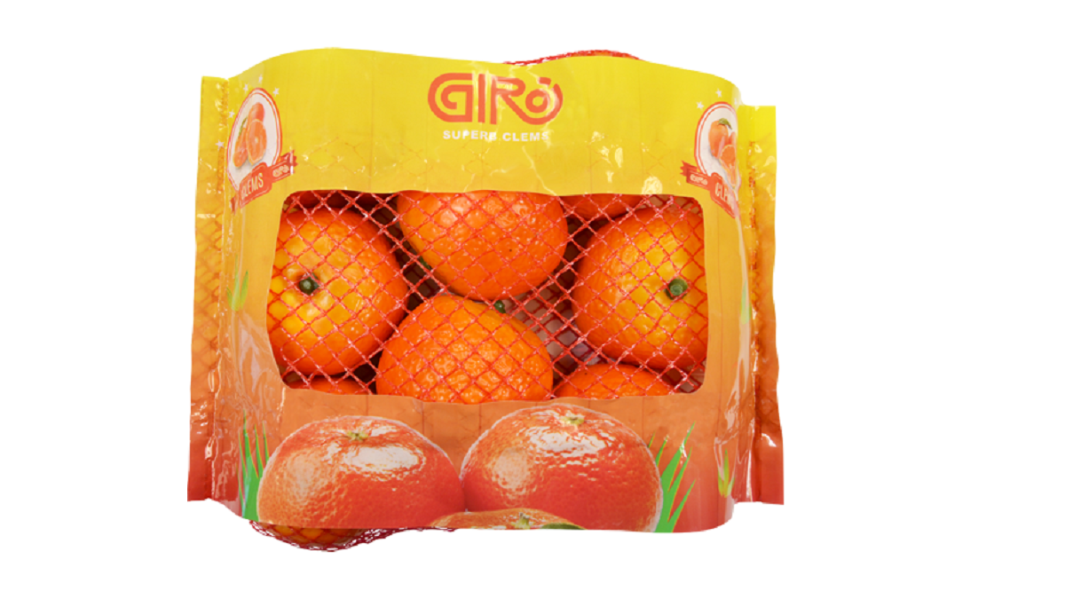 Window Compact, envase compacto y de diseño horizontal