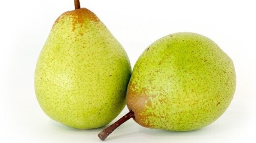 1-NAA facilita el desbloqueo de la maduración en pera Rocha tratada con ...