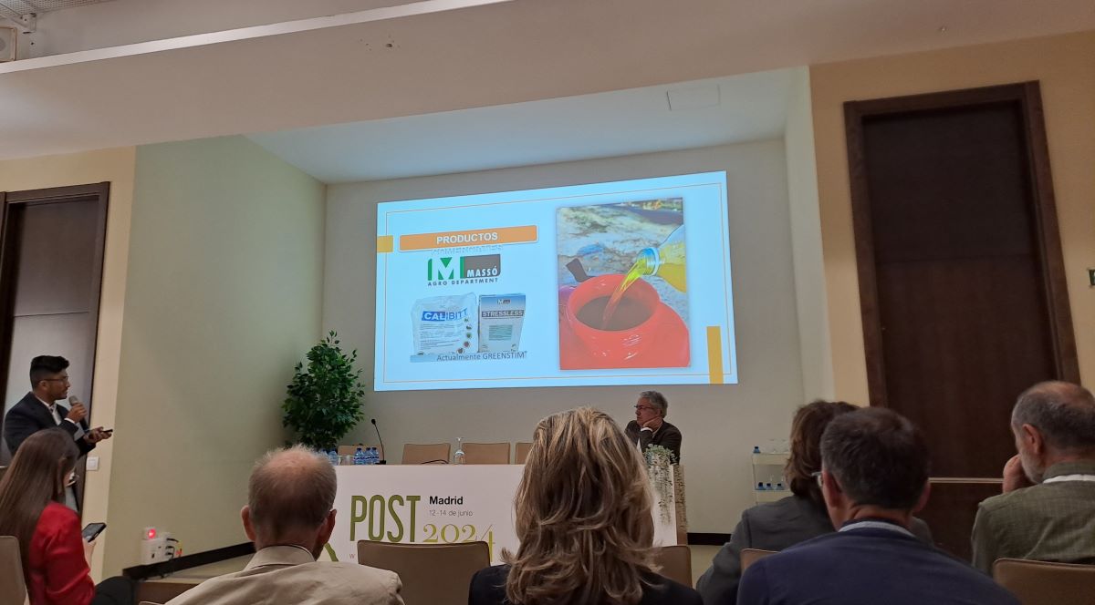 Mayor vida útil para la mandarina ´Nadorcott´ en poscosecha