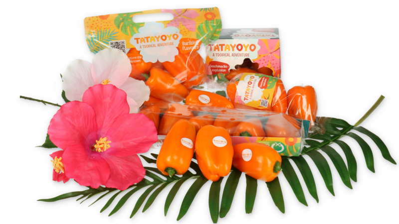 Rijk Zwaan en Fruit Logistica 2025: Innovación y colaboración para el ...