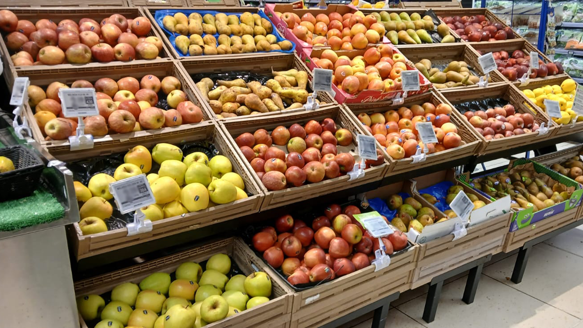 Megamark se asocia con Tosca para impulsar la sostenibilidad y la ...