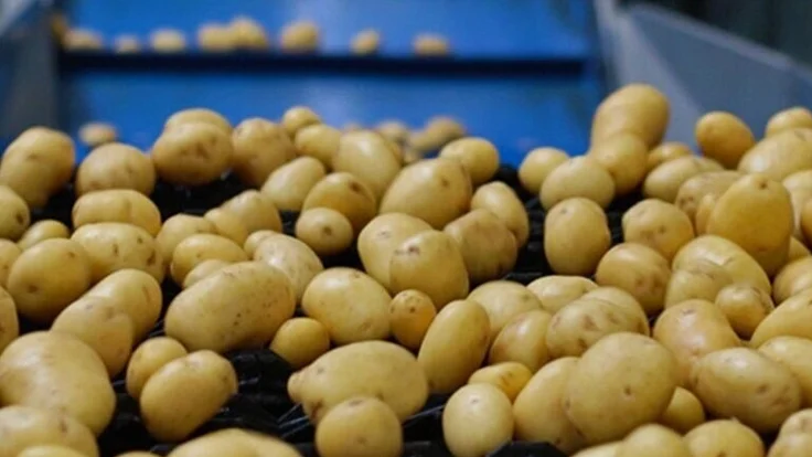 Wyma refuerza su apoyo a la industria de la patata en América del Norte