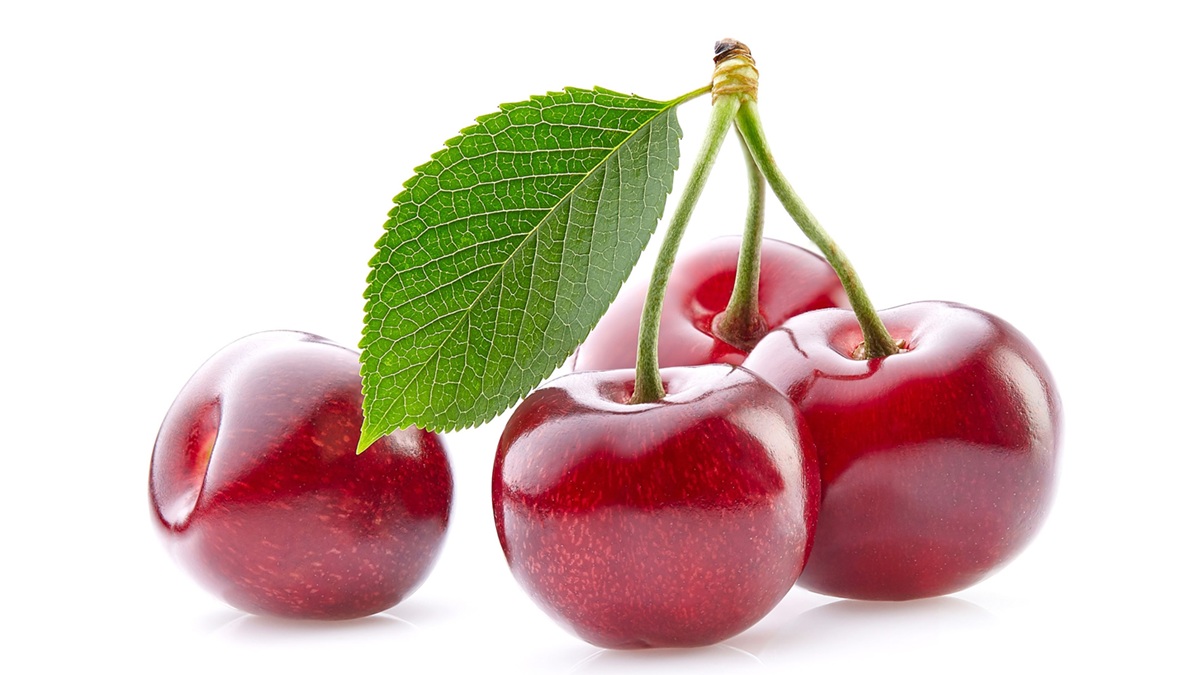 AgriCoat NatureSeal lleva su innovación en productos de IV gama a ...