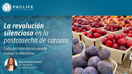 La revolución poscosecha de la fruta de hueso: una estrategia ...
