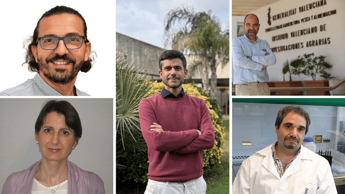 Investigadores del IVIA entre los científicos más destacados del mundo ...