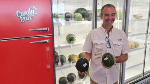 Rijk Zwaan: Innovación en Sandías y Melones para Diversificación