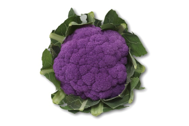 Purpurina, coliflor morada de maduración rápida