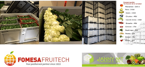 Una solución para alargar la vida comercial de frutas, hortalizas ...