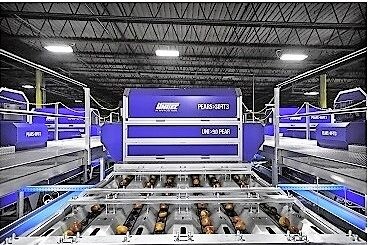 Diamond Fruit Growers y UNITEC, un balance de la primera temporada de peras