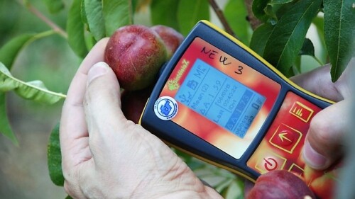 DAmeter: herramienta clave para optimizar la cosecha y poscosecha