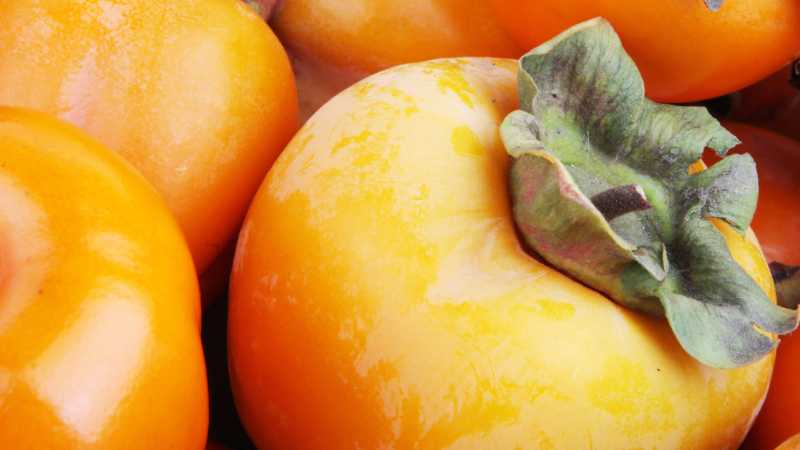 Claves para un buen control de las enfermedades poscosecha